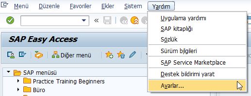 #20 F4 Yardımı Ayarı | SAPist