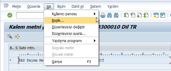 #57 – Metin Alanlarının Text ID’si ve Text Object’i Nasıl Bulunur | SAPist